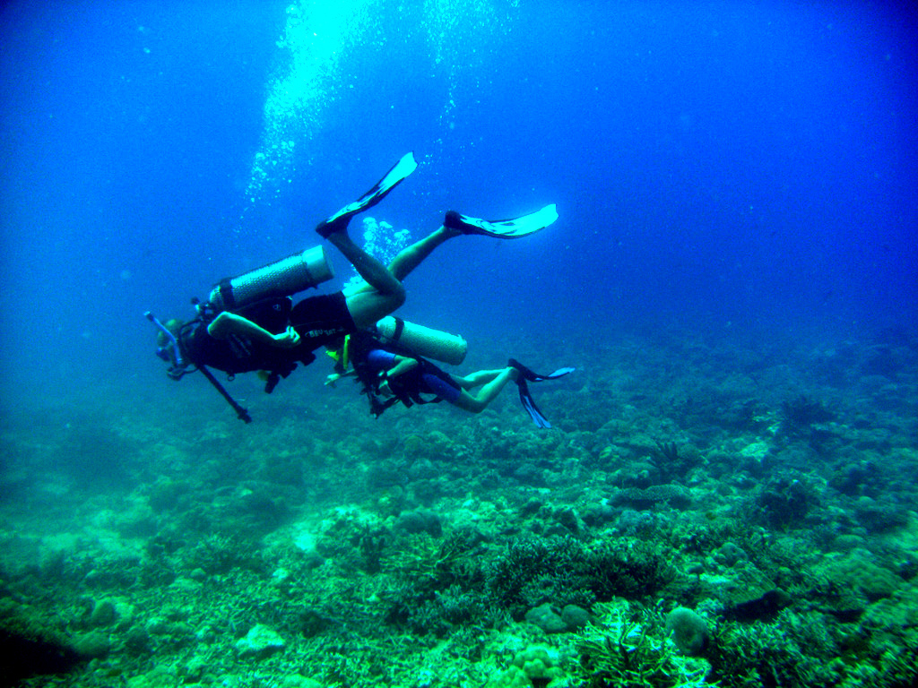 Scuba Diving Port Giles Jetty Yorke Peninsula South Australia Australia
