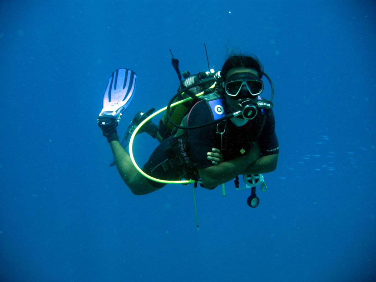 Scuba Diving Wallaroo Jetty Yorke Peninsula South Australia Australia