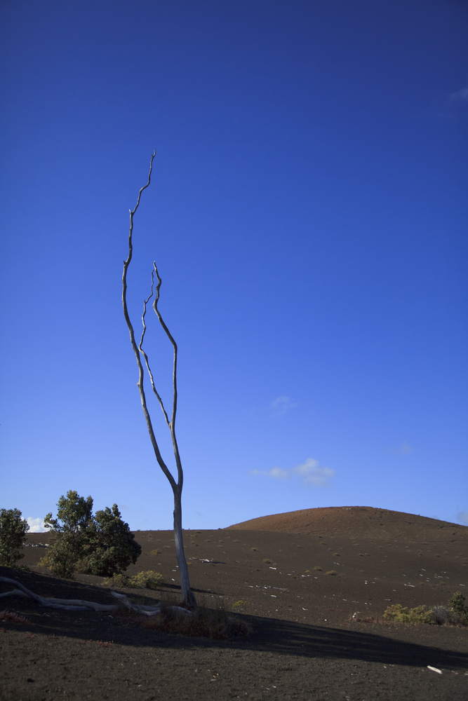Extreme Hiking Devastation Trail Volcano National Park Hawaii USA