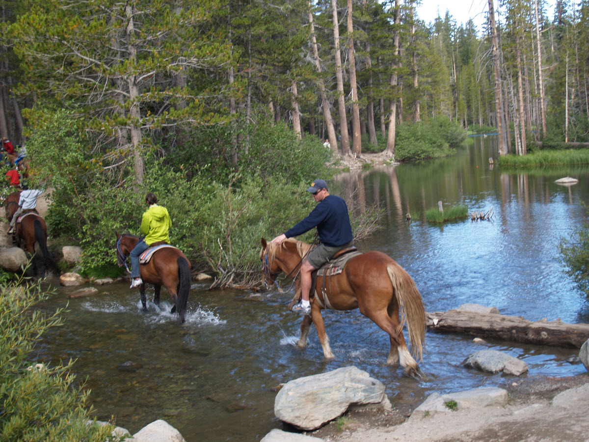 Horseback Riding Mammoth Lakes Yosemite National Park California USA