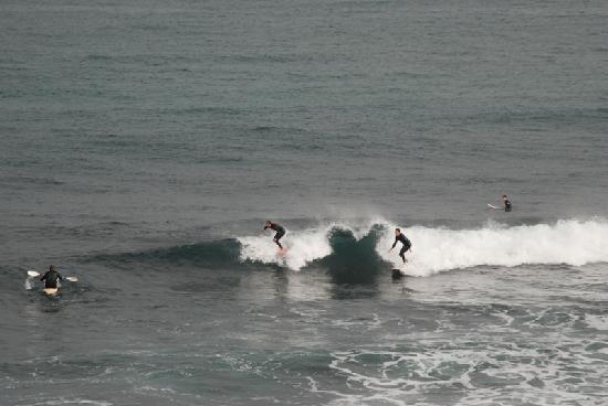 Surfing Cottesloe Beach Perth Western Australia Australia