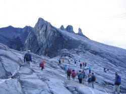 Mountain Climbing Gunung Tahan Taman Negara National Park Pahang Malaysia