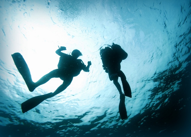 Scuba Diving Angies Point Mombasa Marine Park Coast Province Kenya
