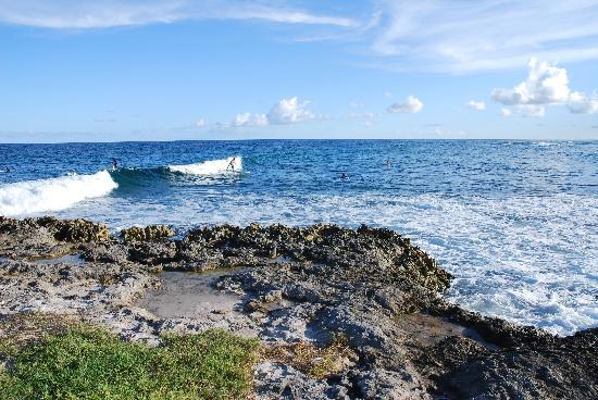Surfing Surfers Point Barbados