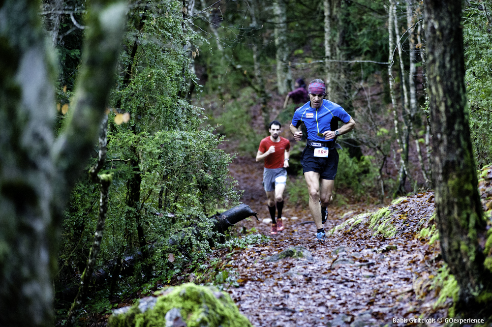 Important Reasons Why You Should Engage in Sports