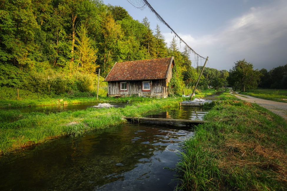 Fish Farming: the Advantages and the Disadvantages and How Popular It Is