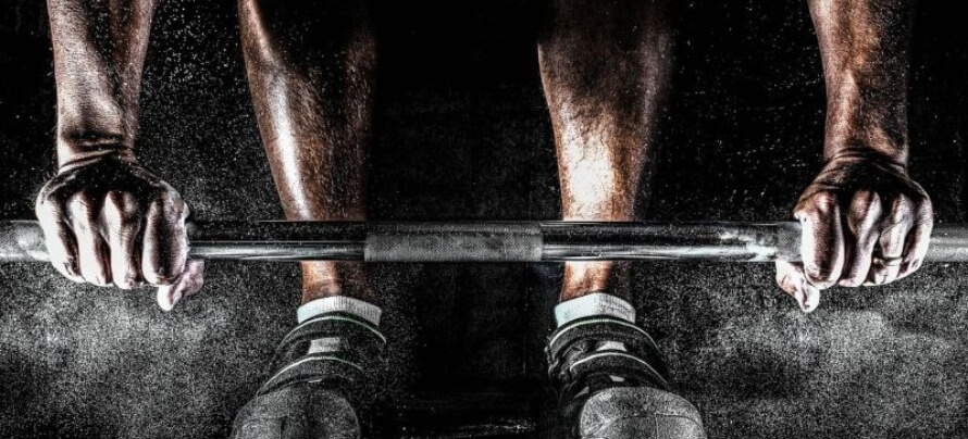 Does Push Pull Legs Promote Muscle Growth? | Blog