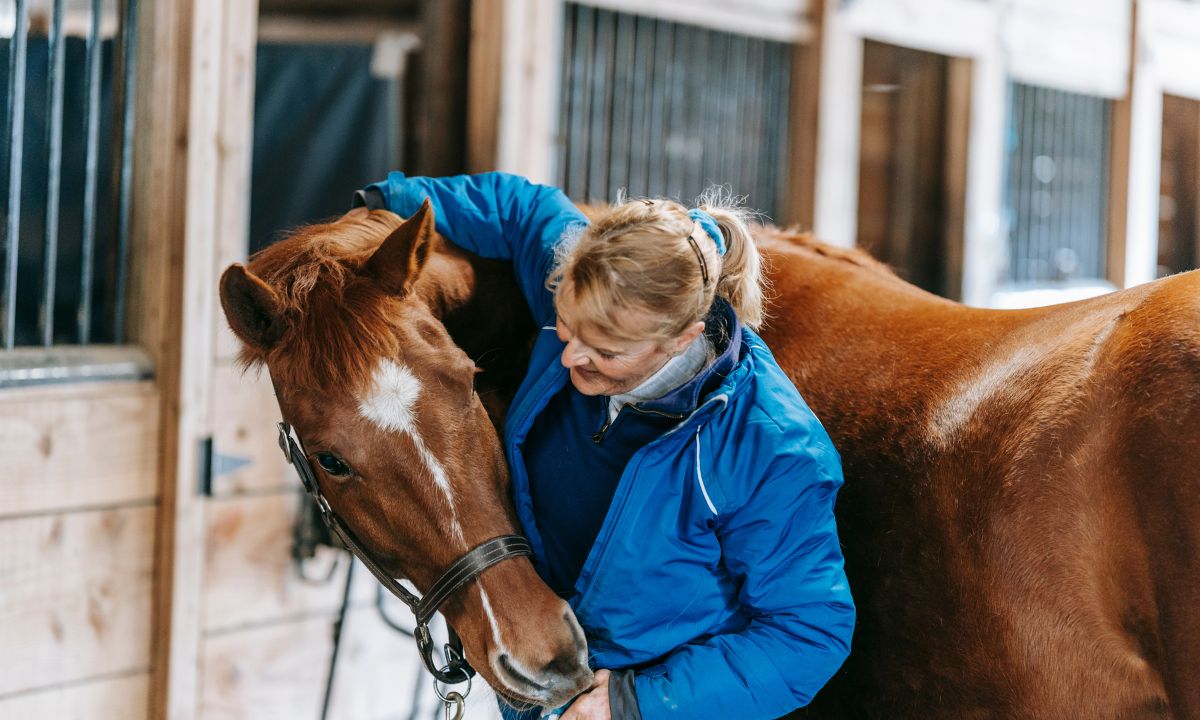 5 Warning Signs That Tell Your Horse Needs a Chiropractor 5 Warning Signs That Tell Your Horse Needs a Chiropractor
